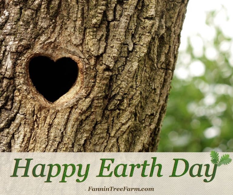 Earth Day Blog - Fannin Tree Farm