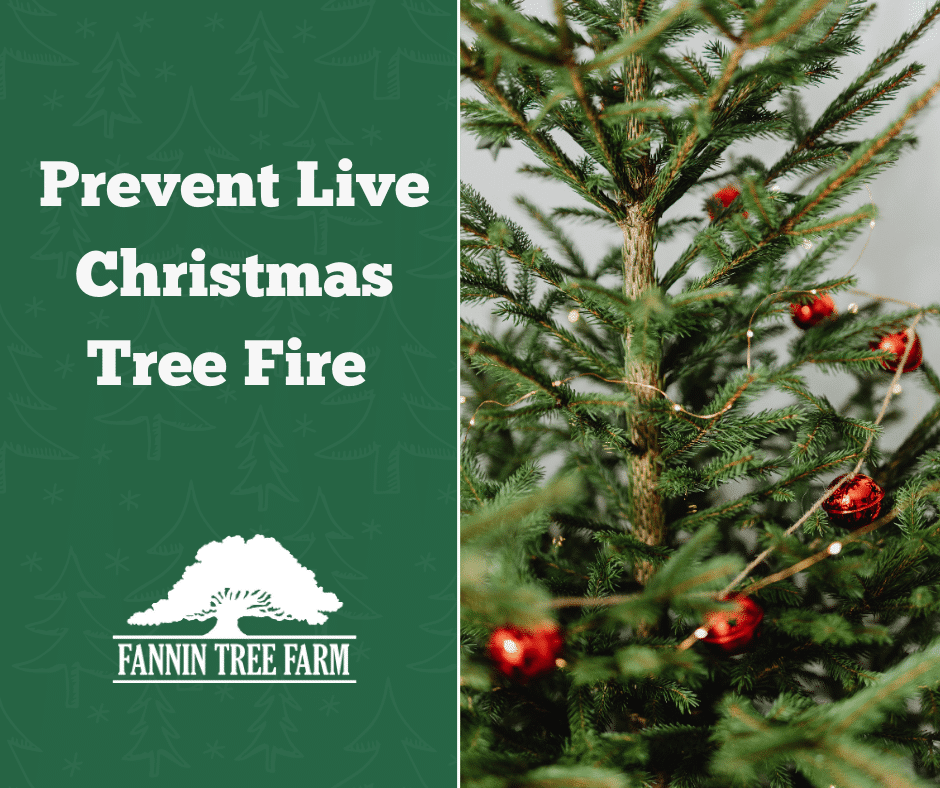Tips for Preventing Live Christmas Tree Fires