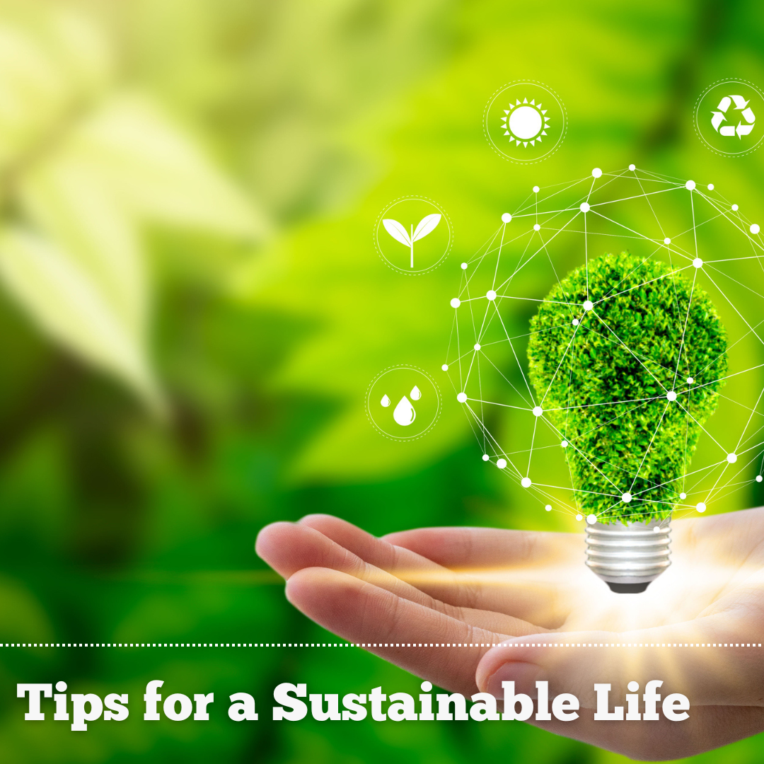 Tips For a Sustainable Life - Fannin Tree Farm